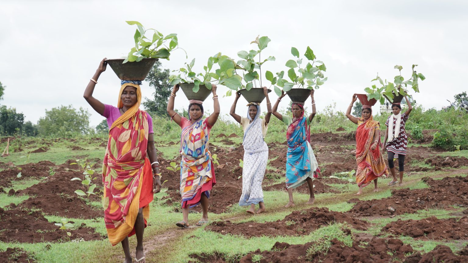 "Preserving the Cultural Heritage of the Santhal Tribe in the Face of ...